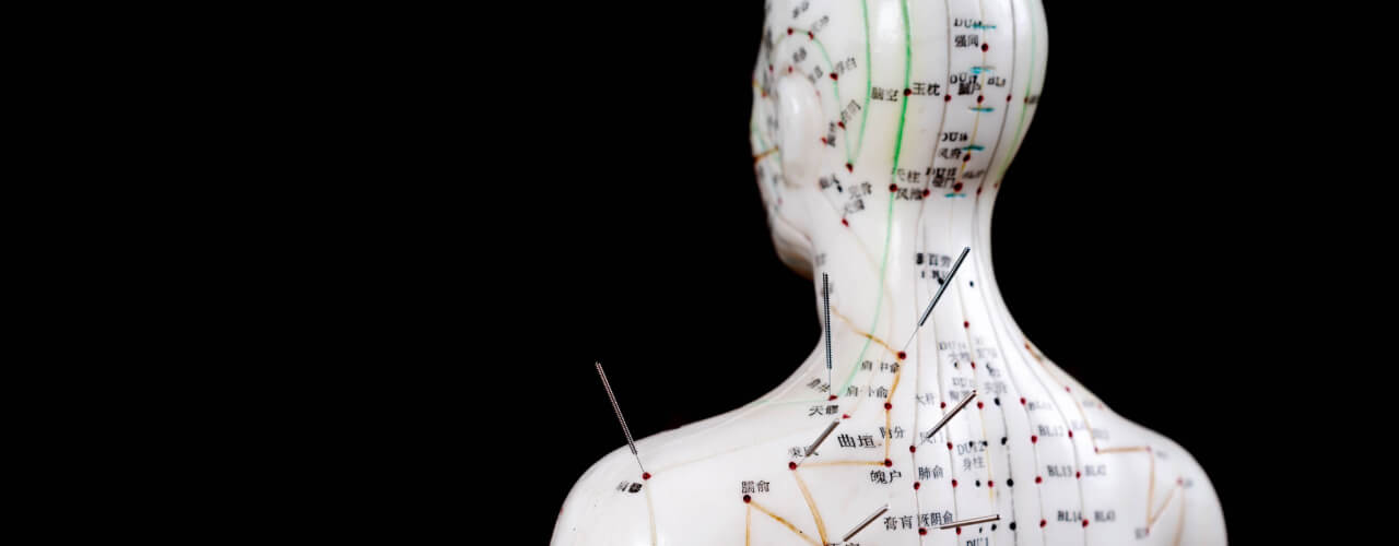 How Does Acupuncture Work? Understanding the Science Behind It - EleVis ...